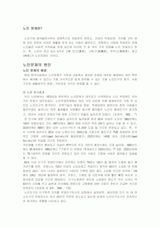 노인문제의 실태와 노인복지 대책