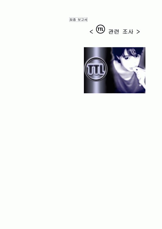TTL 관련조사 레포트 자료