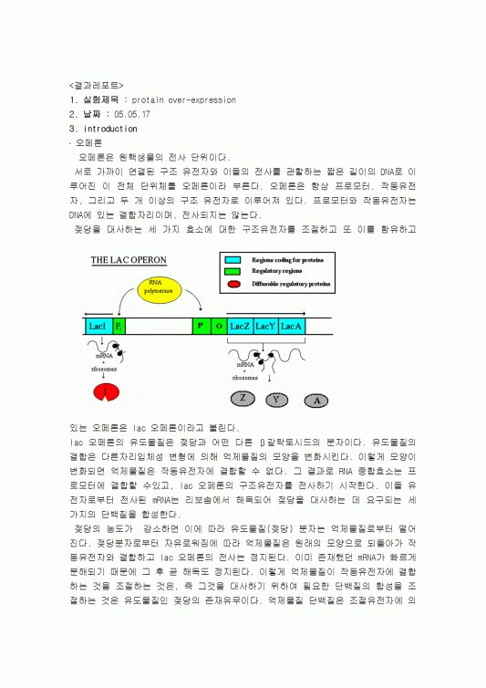 단백질 overexpression