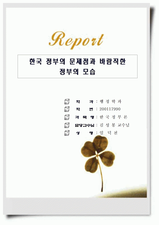 한국 정부의 문제점