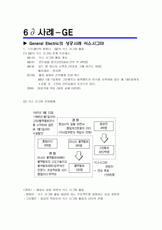 [사범/법학] 식스시그마 기업사례