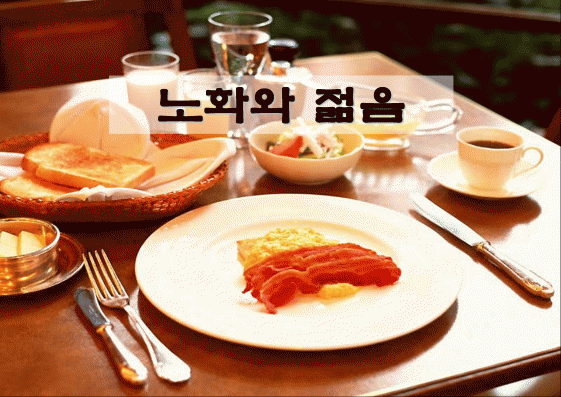 노화와 젊음 레포트 자료