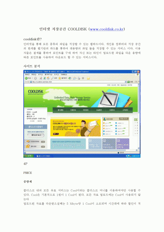 [전자상거래]인터넷 저장공간 분석