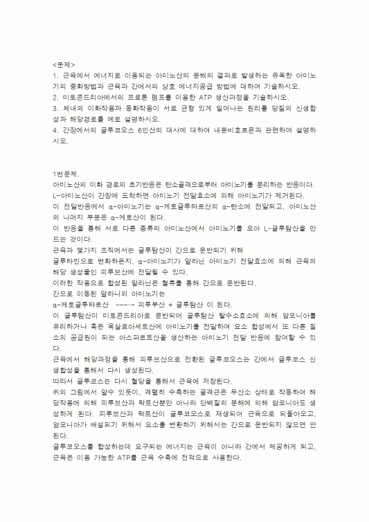 [족보]생화학 족보입니다.