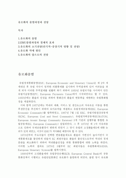유로화의 출범과정과 전망-EMU 출범 과정과 경제적 효과 분석 고찰 발전바향 (발표자료)