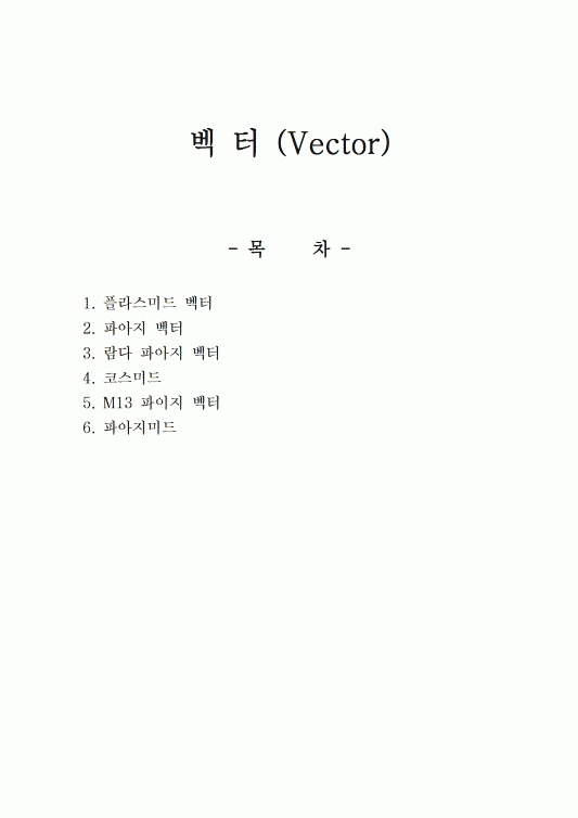 벡터 (Vector) 레포트 자료