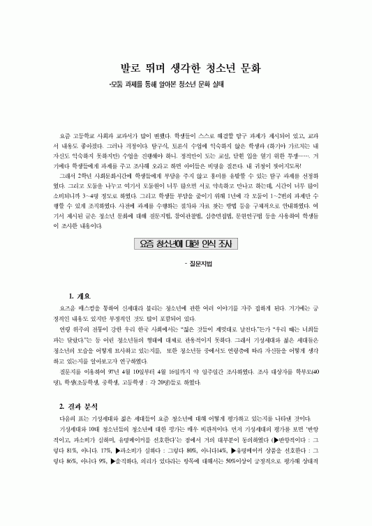 청소년 문화실태