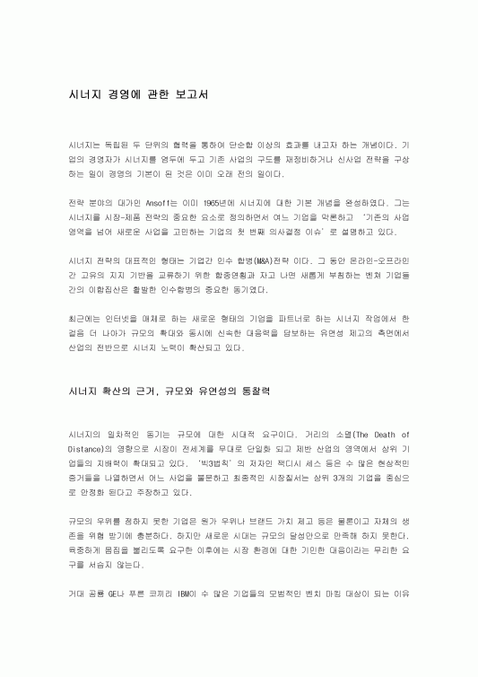 시너지 경영 레포트 자료