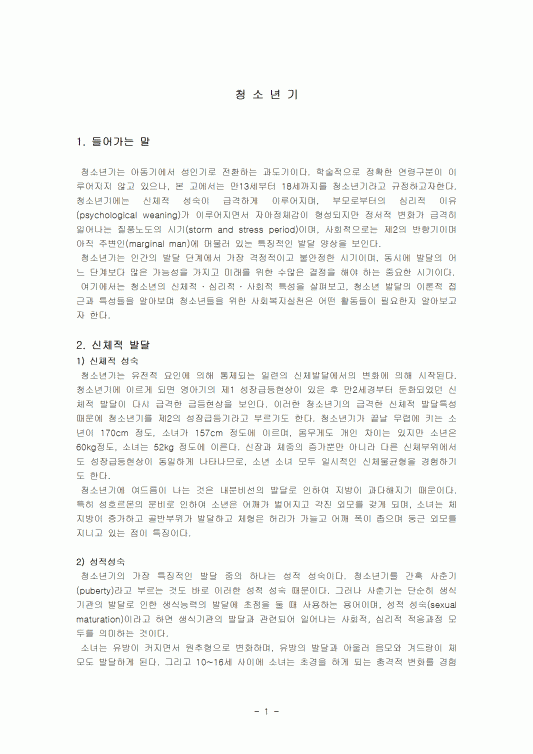 청소년기 [사회과학]