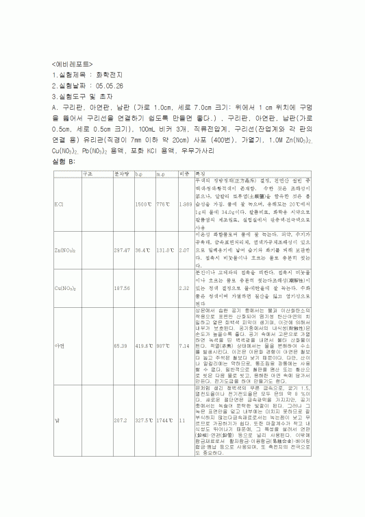 화학전지 다니엘전지 전해질