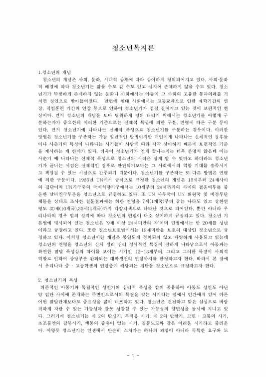 청소년 복지론 요약