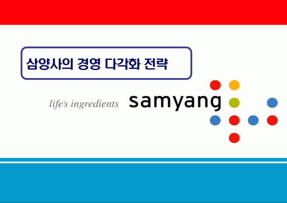 [경영전략]삼양사경영다각화전략