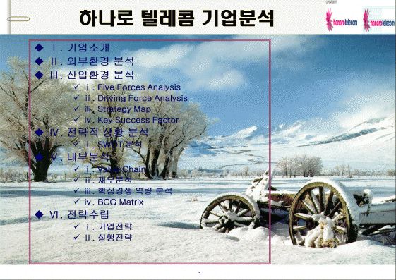 하나로 텔레콤 기업 분석