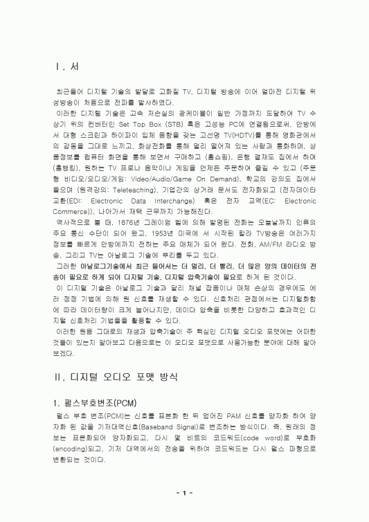 디지털 오디오 포멧에 관한 연구