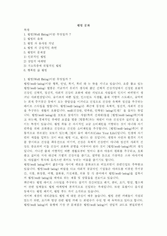 웰빙 문화 레포트 자료