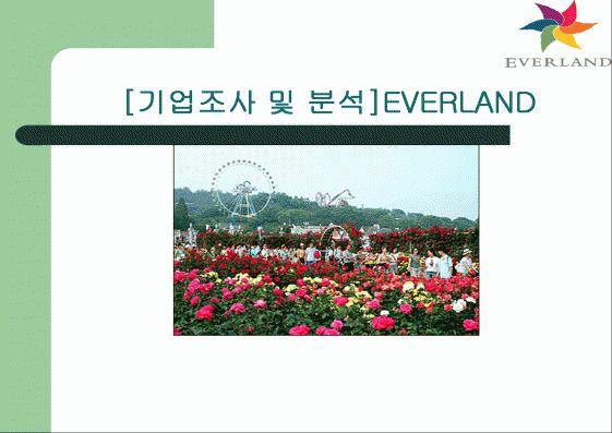 기업조사 및 분석 - EVERLAND