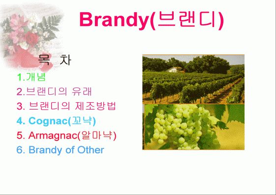 [주류학] 브랜디, 꼬냑, 알마냑