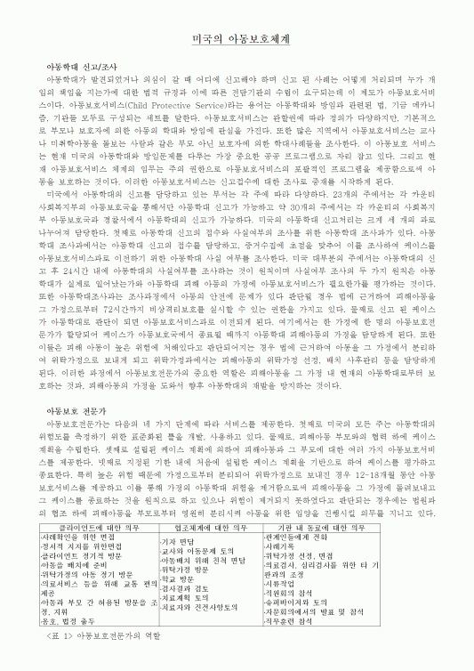 아동보호체계