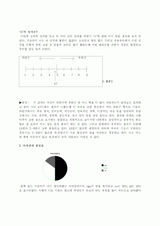 심리검사 보고서