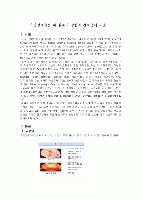 유방절제술을 받은 환자의 경험과 간호문제 도출