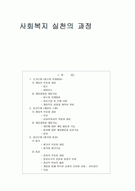 사회복지 실천의 과정