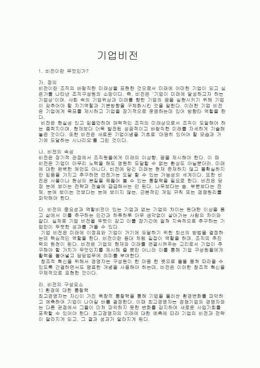 기업비전 레포트 자료