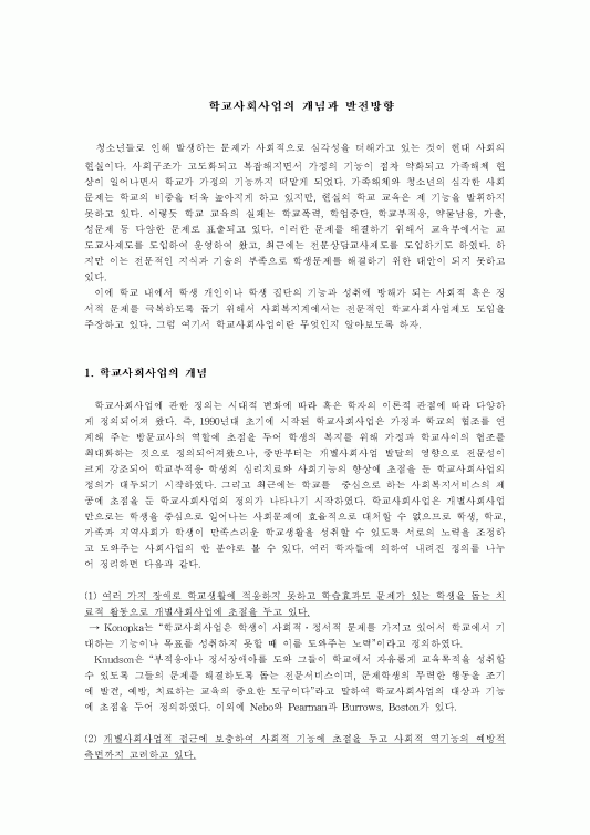 학교사회사업의 개념과 발전방향