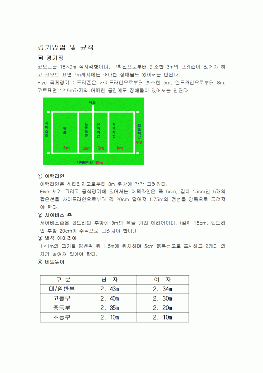 배구의 경기방법 및 규칙