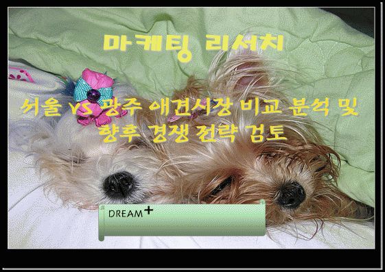 애견시장 비교 분석 및 향후 경쟁 전략 검토