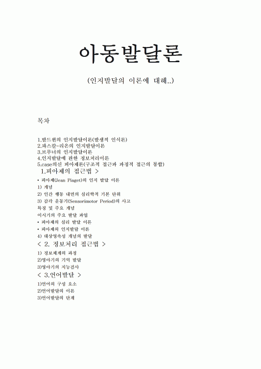 아동발달론 (인지발달의 이론에 대해..)