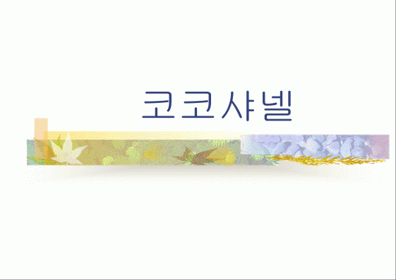 코코샤넬이 여성운동가로서 성공한 이유