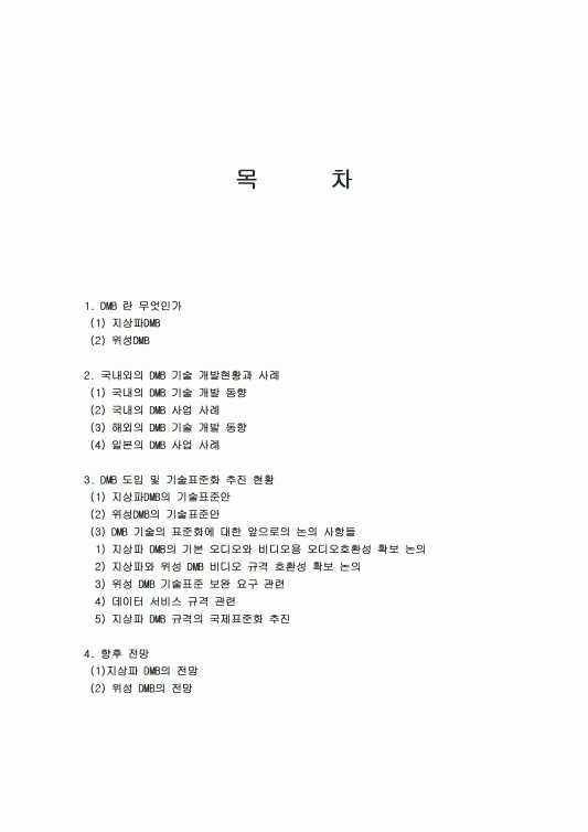 DMB의 모든것 레포트 자료