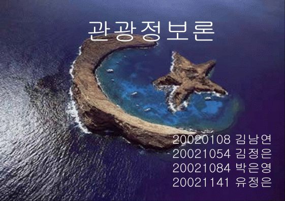 국내여행사와 국외여행사 웹사이트 비교분석