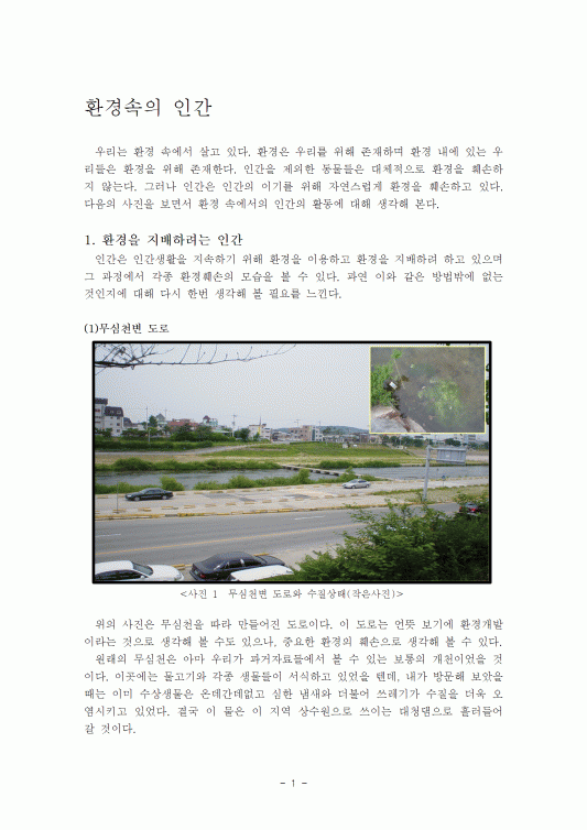 환경속의 인간