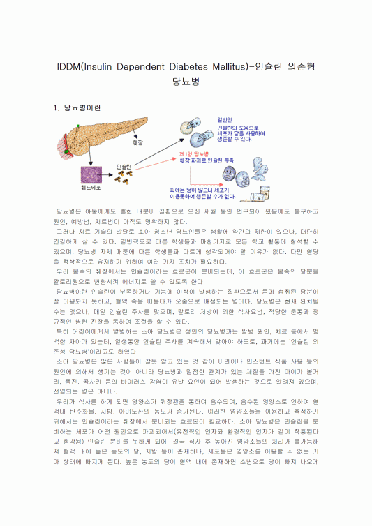 IDDM(Insulin Dependent Diabetes Mellitus)-인슐린 의존형 당뇨병