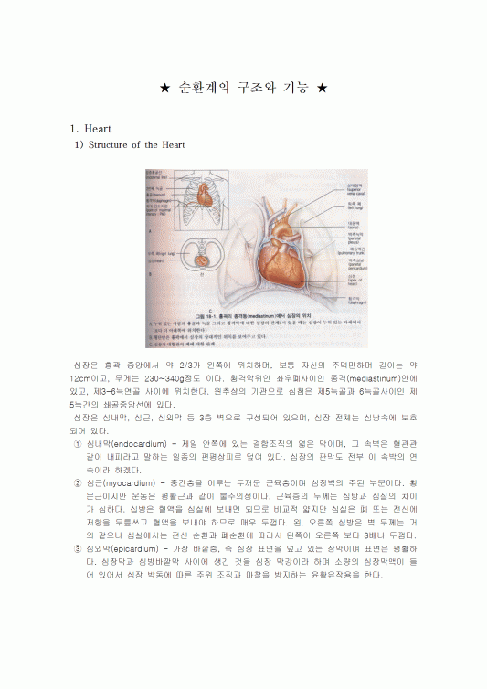 순환계의 구조와 기능