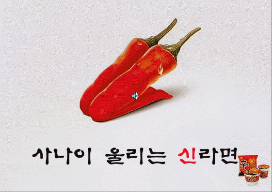 마케팅 사례분석 (신라면)