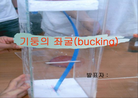 기둥의 좌굴(bucking)