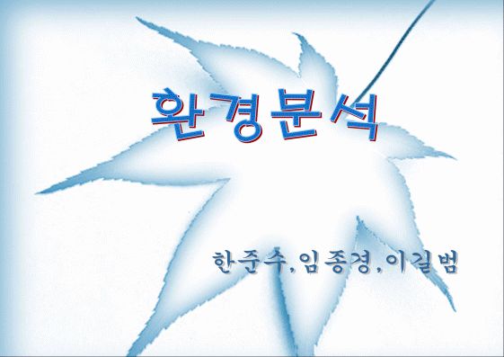 인터넷마케팅-환경분석