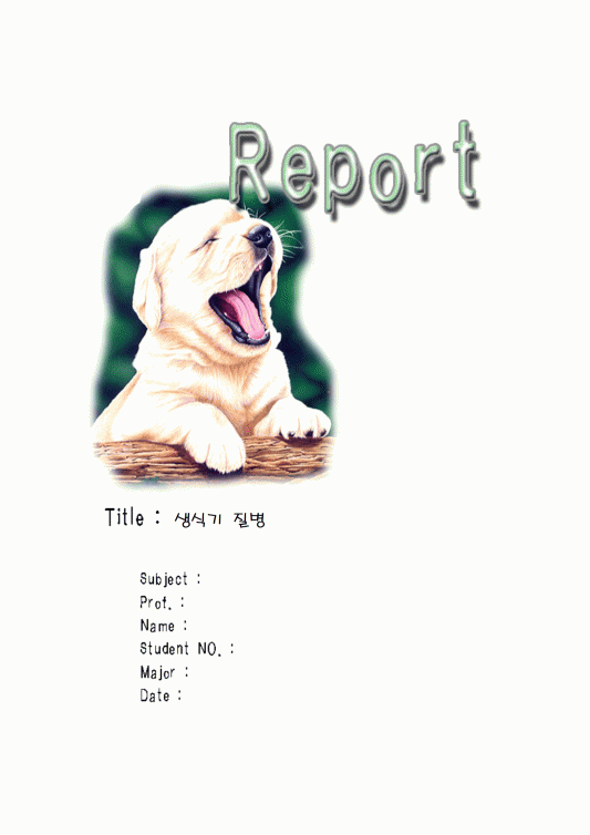 개의생식기질환