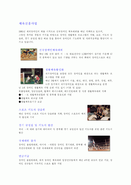 장애인 체육 레포트 자료