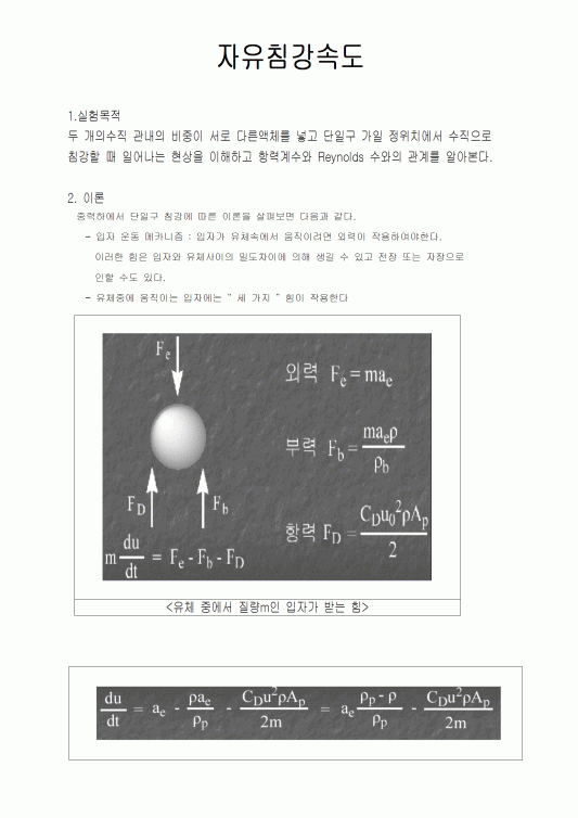 자유침강속도