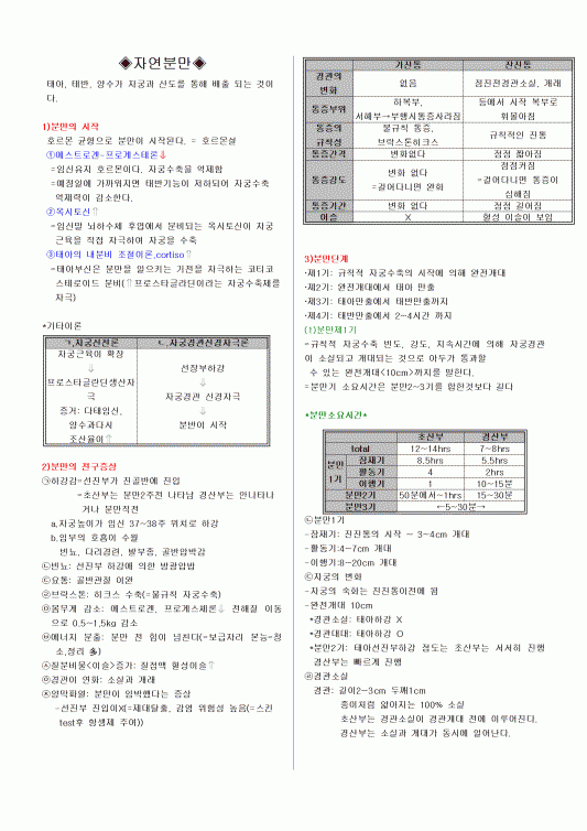 자연분만 문헌고찰 레포트