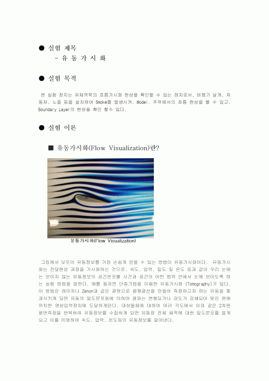 유동가시화실험레포트