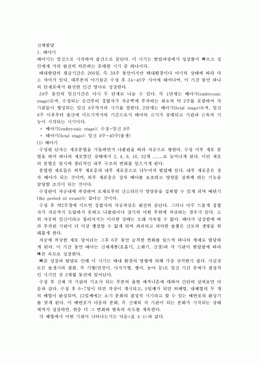 태내기의 발달단계