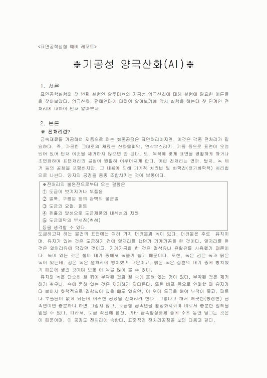 기공성 양극산화(Al)