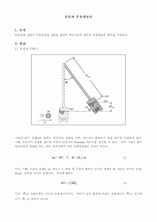 충돌및운동량보존