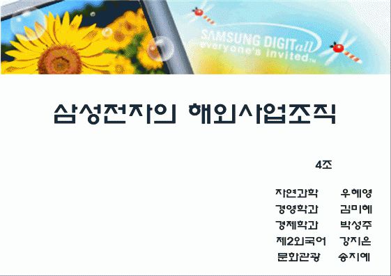 삼성전자의 해외사업구조