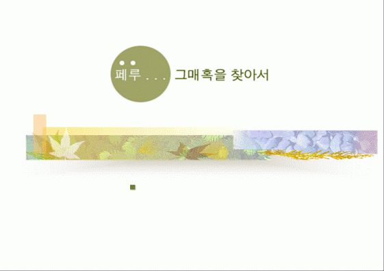 페루 그 매혹을 찾아서