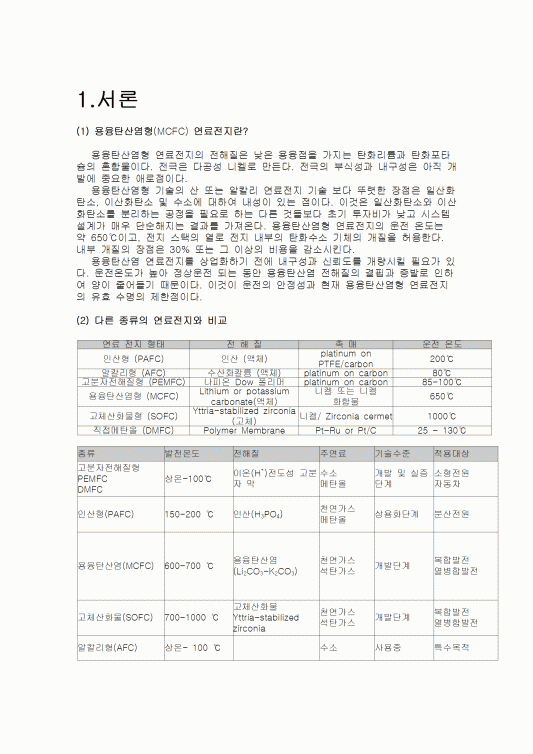 MCFC(용융탄산염형 연료전지) Anode 제조 과정